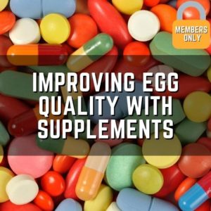 Complete guide to egg quality - Remembryo