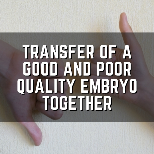 Transfer of a good and poor quality embryo together | Remembryo