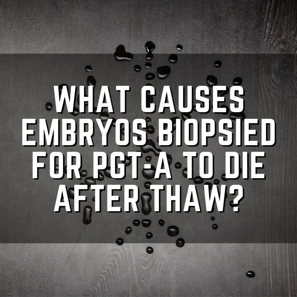 What causes embryos biopsied for PGT-A to die after thaw? | Remembryo