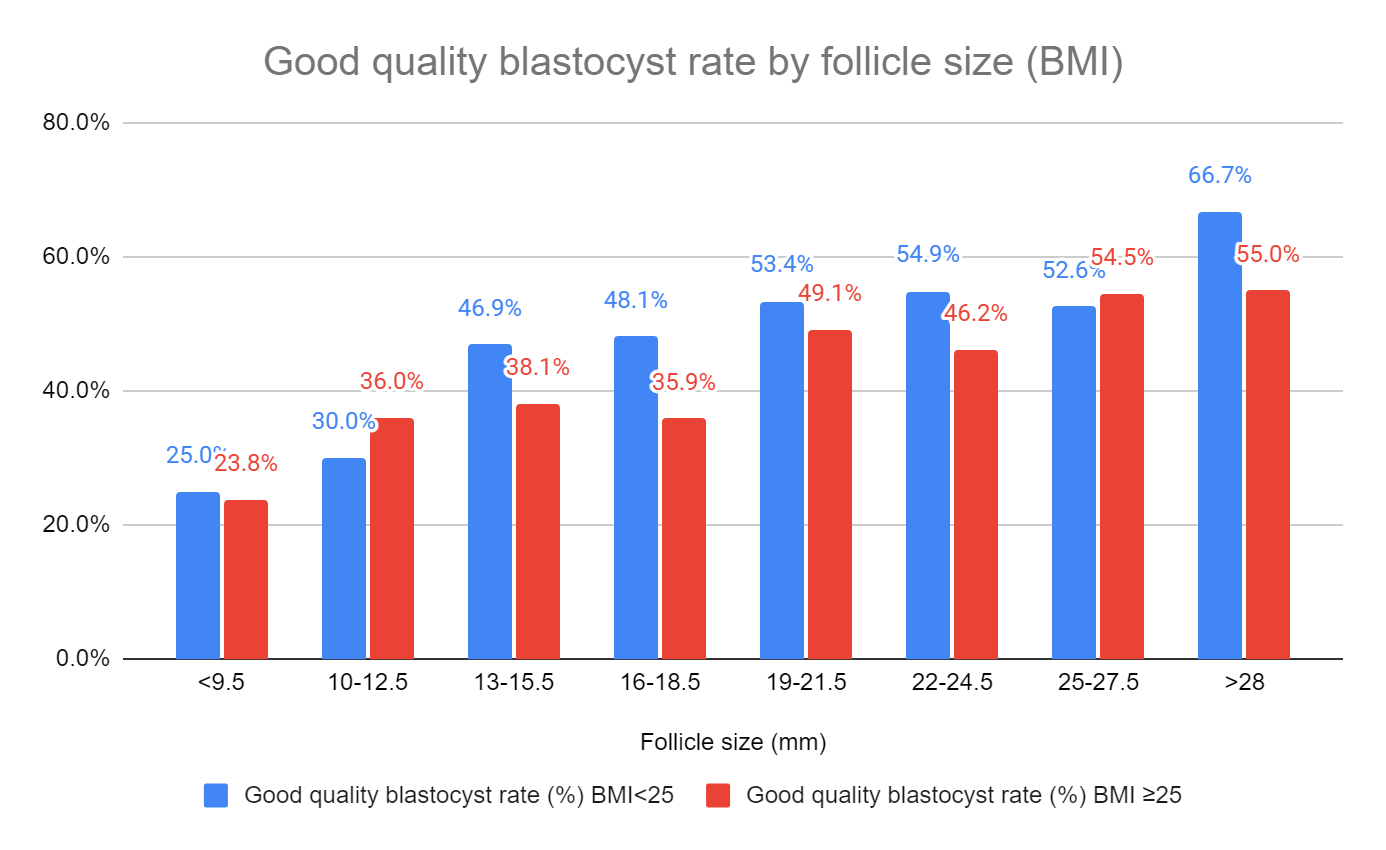 Follicle size linked to egg maturity, good quality embryo rate | Remembryo