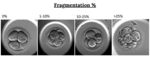 Grade C (poor quality) embryo success rates - Remembryo